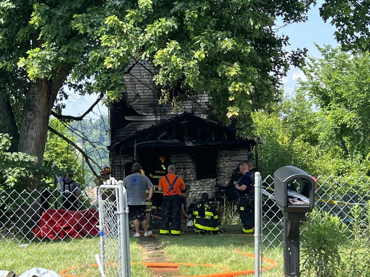 Animals perish in Monessen fire - Observer-Reporter